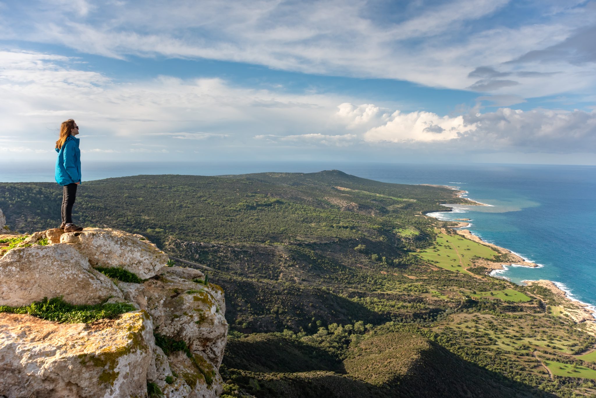 Cyprus Flora Guide: Plants Trees & Natural Vegetation - The North Cyprus