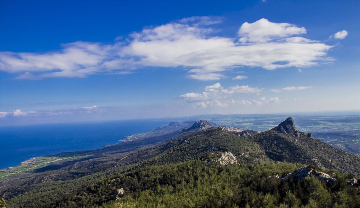 Cyprus Flora Guide: Plants Trees & Natural Vegetation - The North Cyprus